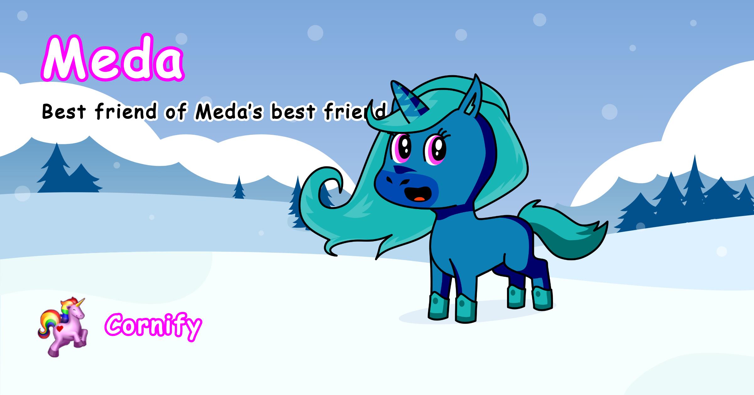 Meda the unicorn